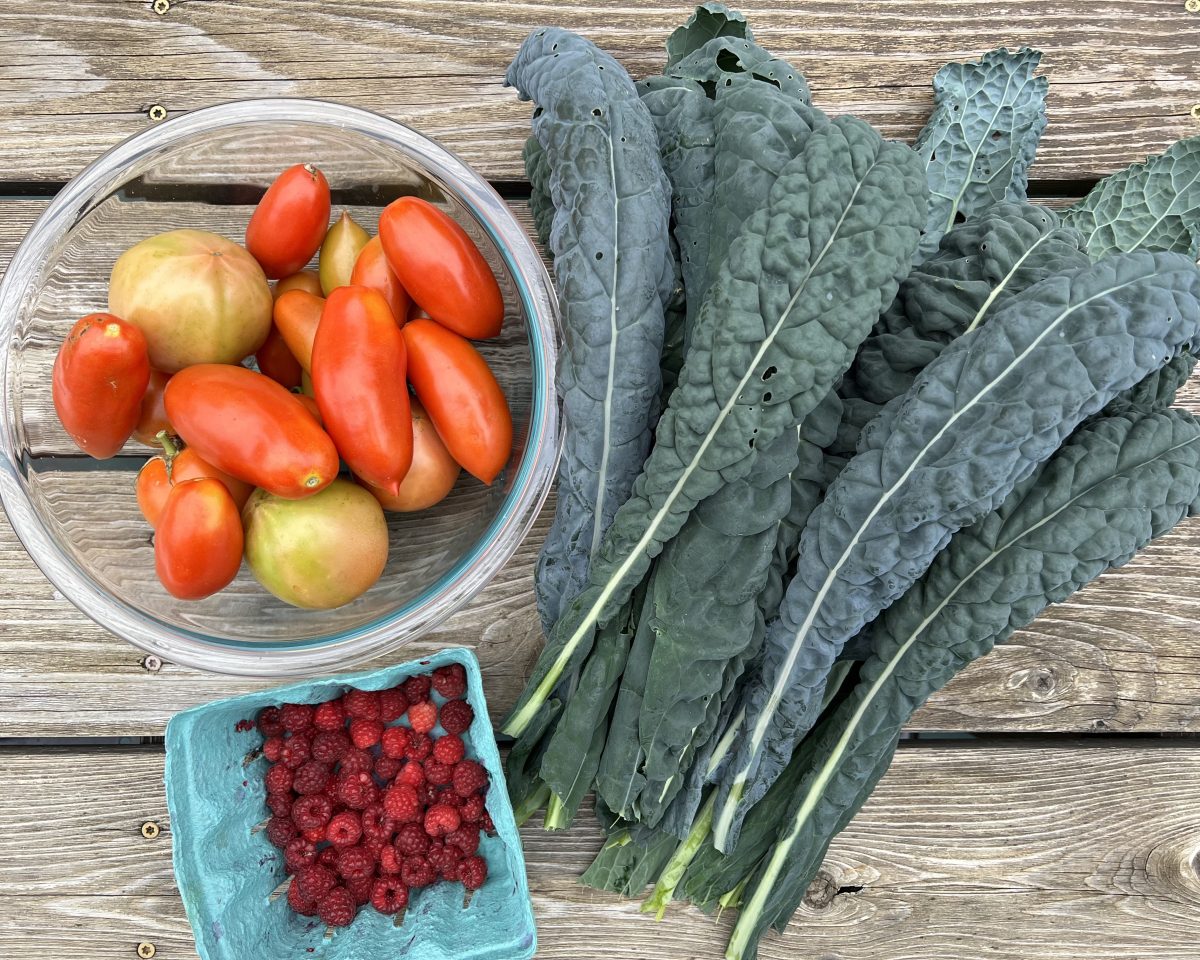 Fool’s Spring Survival Guide: Expert Tips for a Thriving Midwest Garden ...